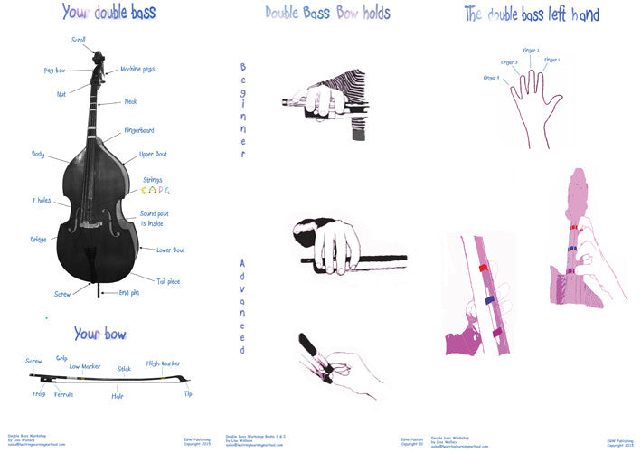 Double Bass Posters – String Learning Method